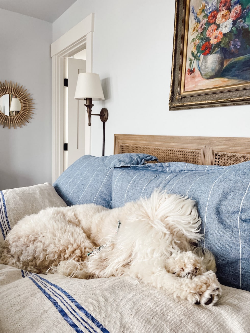 7 Simple Ways We Made our House Feel Like Home - Advanced House Plans